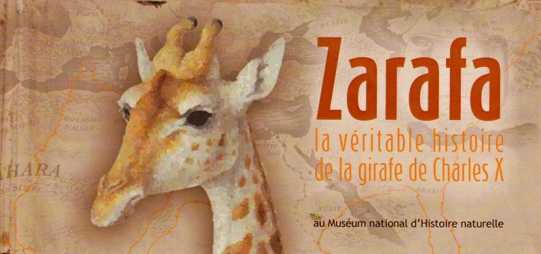 La girafe ZARAFA à l’affiche… du Muséum d’Histoire naturelle. | De ...
