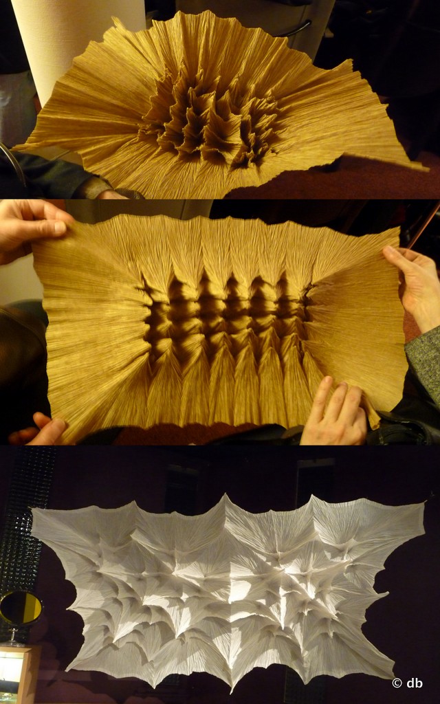 Le CRIMP « met la nature en plis à la Maison du Limousin | «De Belles ...